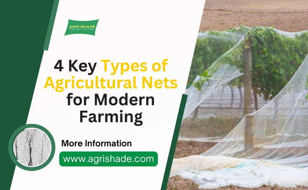 4 na Pangunahing Uri ng mga Lambat Pang-agrikultura para sa Makabagong ...