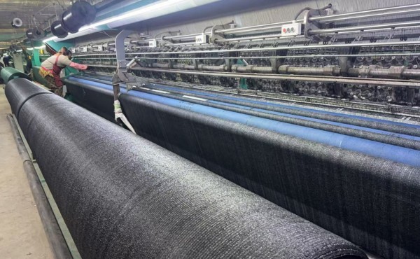 Custom Shade Solutions for a Latin American Distributor